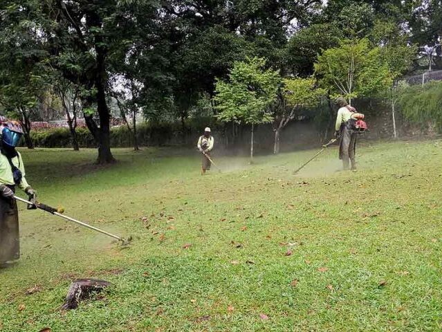 Improving services through technology – Seefar